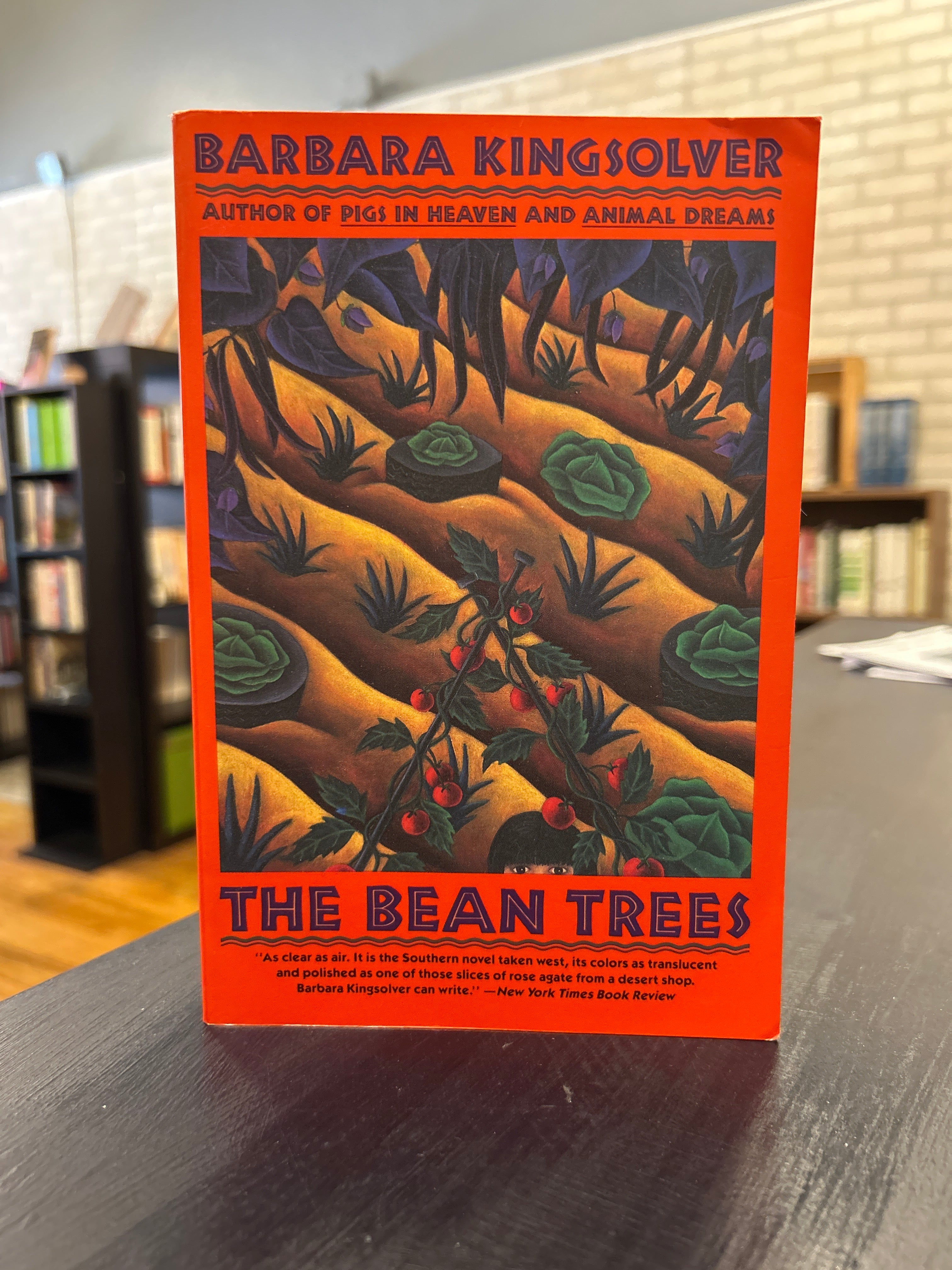 The Bean Trees- Barbara Kingsolver – Wayfarer Books